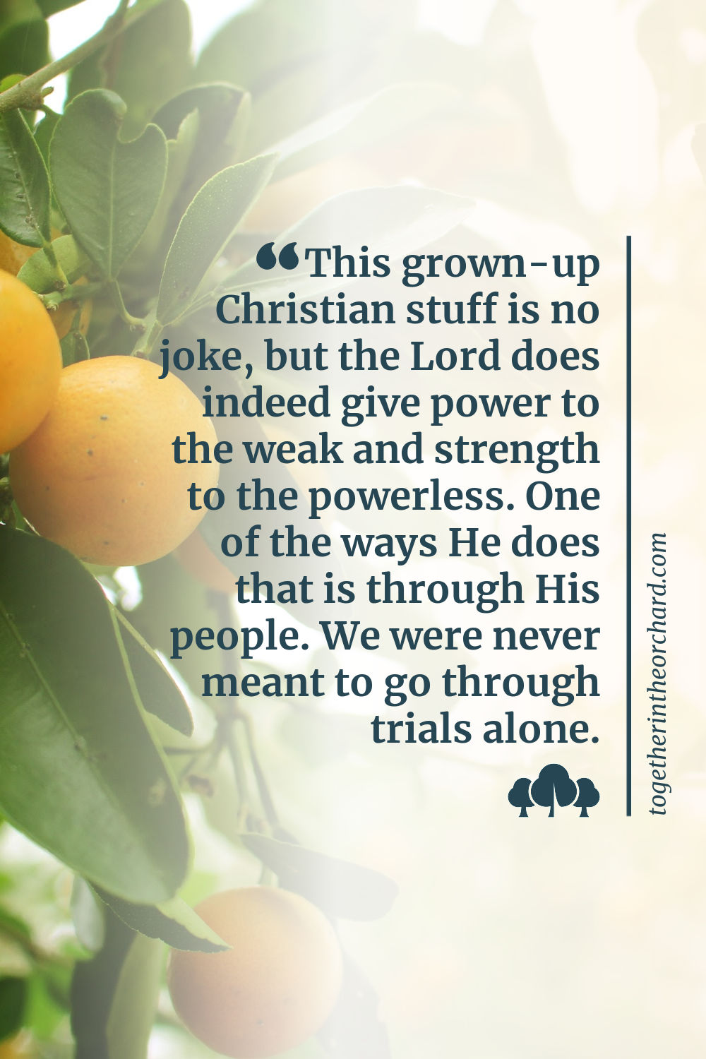 Warring Together | Together in the Orchard